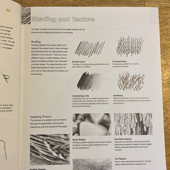 Drawing | Other | Drawing Nature For The Absolute Beginner By Mark And ...